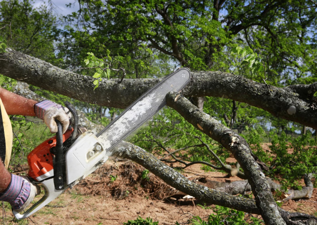 About Ballard’s Tree Service, Atlanta, GA